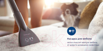 Philips XB2042/01 Пылесос купить в Минске, недорого, цены, рассрочка