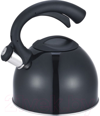 Domoletti CWT022 Чайник со свистком купить в Минске, Гомеле, Витебске ...
