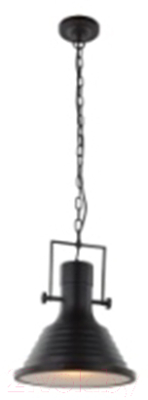 Sfera Sveta Loft 2644/1 (Rust) Потолочный светильник купить в Минске ...