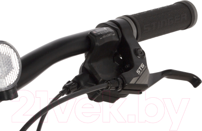 Stinger Element STD 29AHD.ELEMSTD.20BK2 20, черный Велосипед купить в Минске, Гомеле, Витебске ...