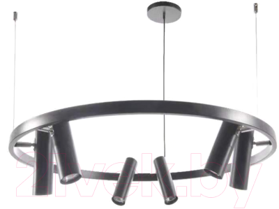 Rilon Lighting Technical Light 2021-5+8 SBK Люстра купить в Минске ...