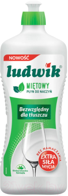 Ludwik Мята (900мл) Средство для мытья посуды купить в Минске, Гомеле ...