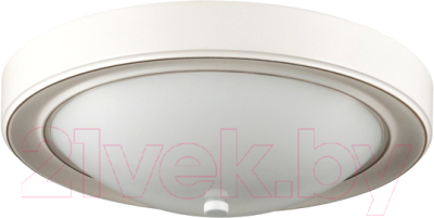 Lumion Vintage 5279/2C Потолочный светильник купить в Минске, Гомеле ...