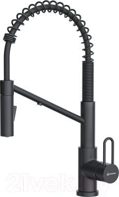 Omoikiri Mikawa 2 Plus-SB-GB (4994455) Смеситель купить в Минске ...