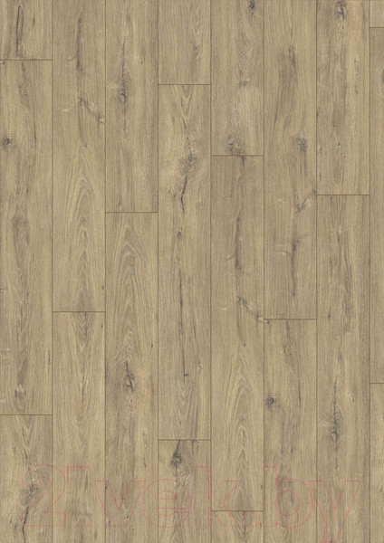 Egger Home Classic Дуб Патока EHL120 Ламинат купить в Минске, Гомеле ...