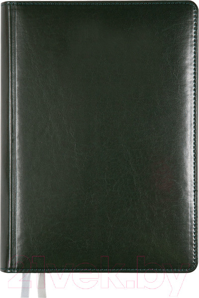 deVente Bravo / 2030413 зеленый Записная книжка купить в Минске, Гомеле ...