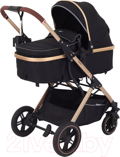 Rant Basic Pulsar Gold 2 в 1 / RA160 Black Детская универсальная коляска купить в Минске, Гомеле ...