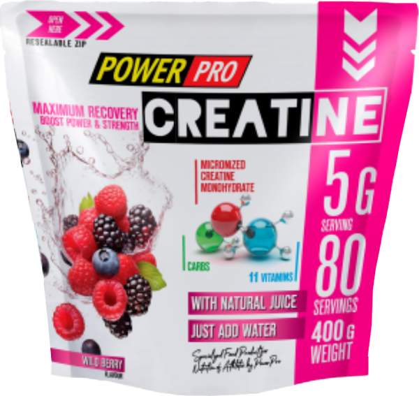 POWER PRO Maximum Recovery 400г, ягодный Креатин купить в Минске ...